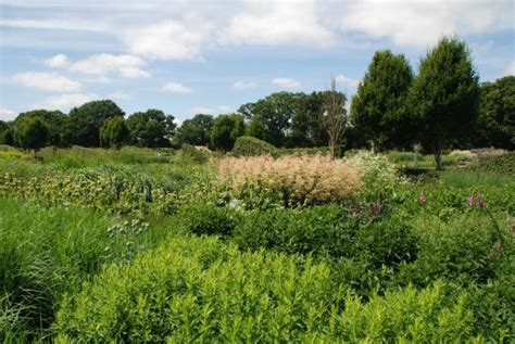 Sussex Prairies Garden Henfield 2021 All You Need To Know Before
