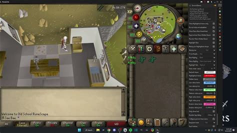 Sae Bae Runelite Settings Youtube