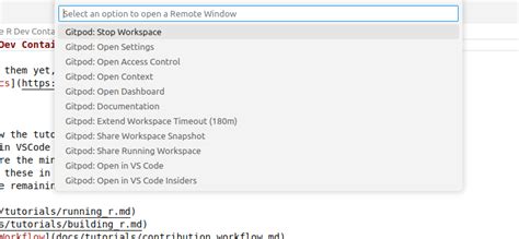 Stopping And Restarting R Devel Container Docs