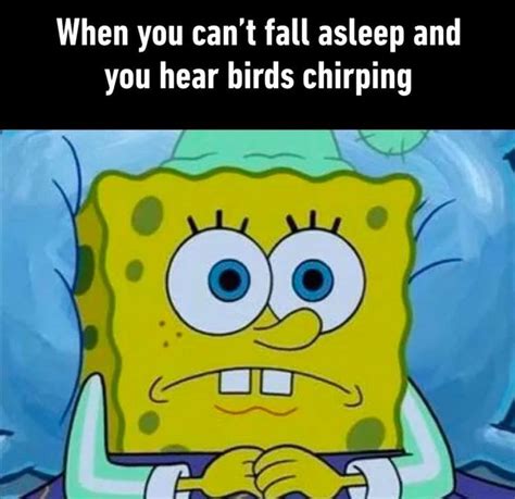When You Cant Fall Asleep Dump A Day