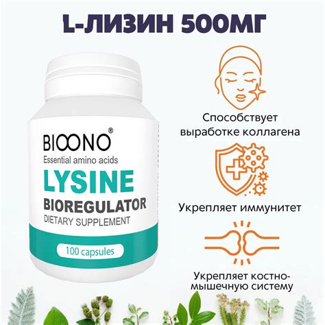 LYSINE - аминокислота L-лизин (усиленная формула) - купить в Украине ...