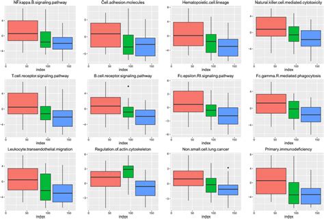The Boxplot Visualization The 12 Pathways In Three Different Phases Of Download Scientific