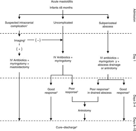 Acute Mastoiditis In Infants Aged Six Months Or Younger The Journal