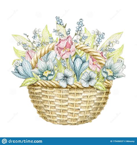 Watercolor Wicker Basket With Bouquet With Vintage Spring Flowers Stock