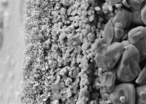 Cross Sectional Scanning Electron Micrograph Of The Two Ceramic Download Scientific Diagram