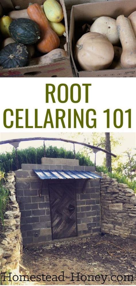 Root Cellaring 101 What Is A Root Cellar Ideal Conditions And Use Artofit