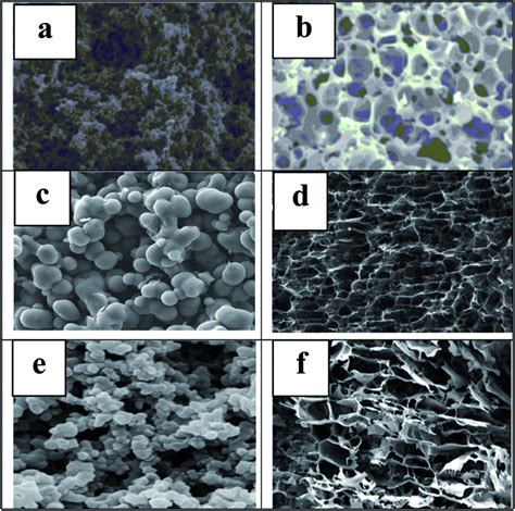 Prepared Sem Images Sulfate Lignin Based Carbon Aerogel A Organic Download Scientific
