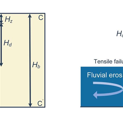 Giovanni Coco Associate Professor Phd University Of Auckland Auckland Research Profile