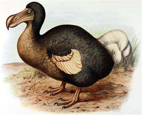 The Ethics Of Resurrecting Extinct Species