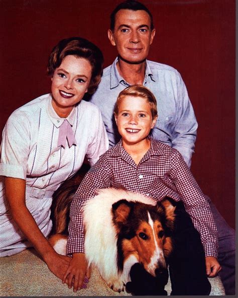 Lassie Cast Red Background Photo Print 8 X 10 Posterazzi