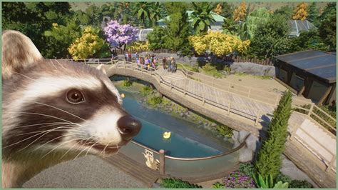 🦝raccoon Habitat Fjevær Zoo Planet Zoo Speedbuild🌳 Youtube