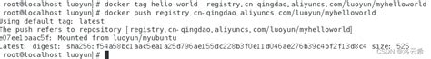 【docker】将本地镜像推送到远程库私有库docker推送镜像到远程仓库 Csdn博客