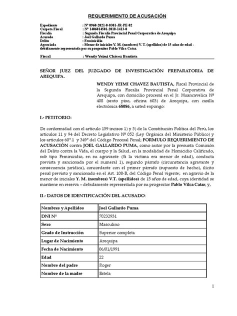 Feminicidio Acusacion Pdf
