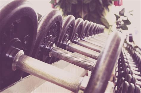 Plus De Photos Gratuites De Fitness Et De Gym Pixabay