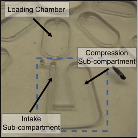 Compact Disc Microfluidic Devices Optimizing Real Estate