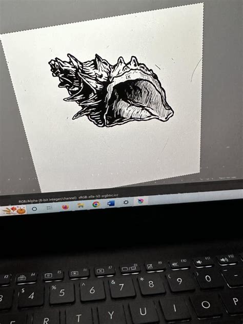 Help With Design Raquariums