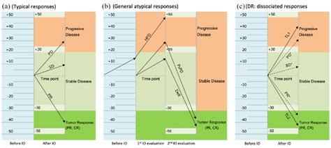 Three Types Of Response Patterns Based On The Radiological Evaluation