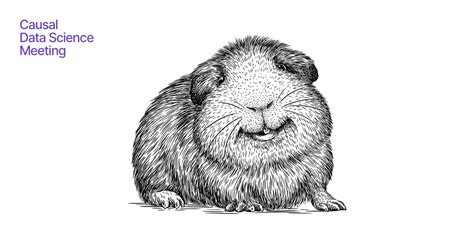 Causal Data Science Meeting Home