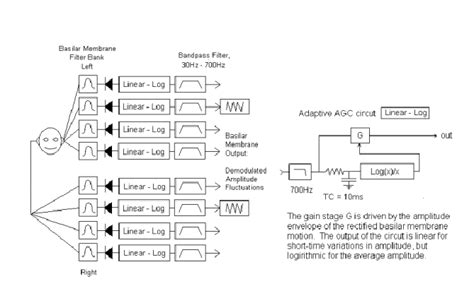A Basilar Membrane Model Based On The Detection Of Amplitude