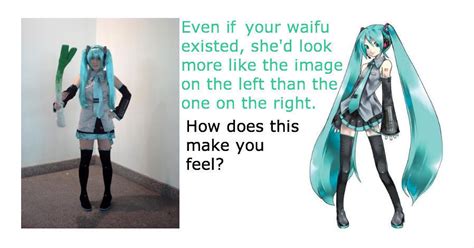 Image Waifu Know Your Meme