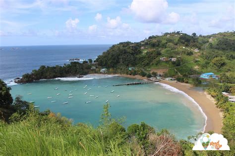 Beaches Road Trip Tt