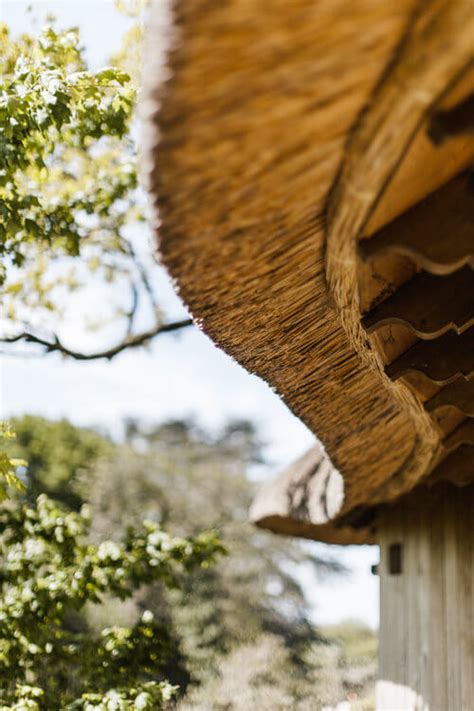 Deer Park Treehouse