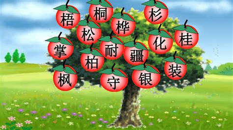 2 树之歌 课件共23张PPT 21世纪教育网 二一教育