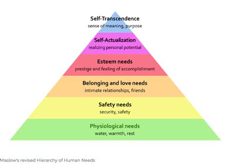 Part 1 Finding Meaning Through Transcendence — The Power Of Psychedelics