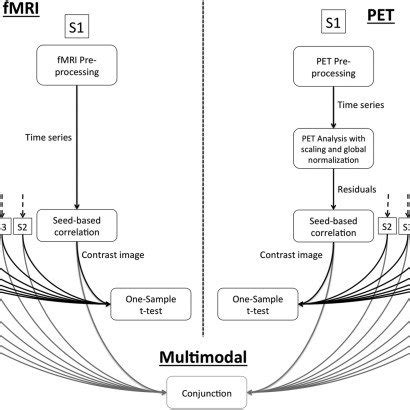 Graphical Illustration Of Seed Based Correlation Analysis Of FMRI And Download Scientific
