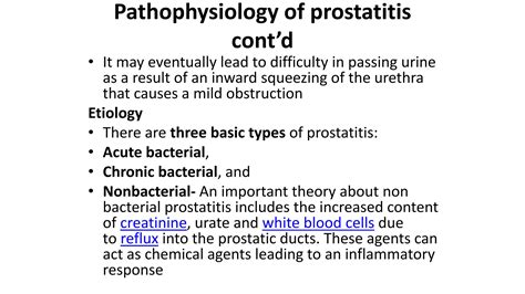 Prostate Disorders Bph Prostatitis Ppt