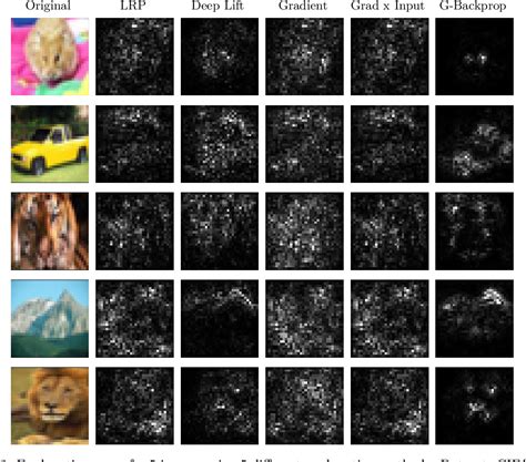 Figure 2 From Foiling Explanations In Deep Neural Networks Semantic