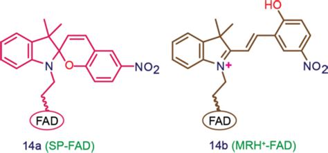 Photoresponsive Small Molecule Enzyme Mimics Acs Omega