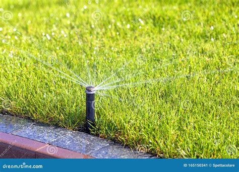 Irrigation Sprinkler Watering Grass Plug And Socke Royalty Free Stock