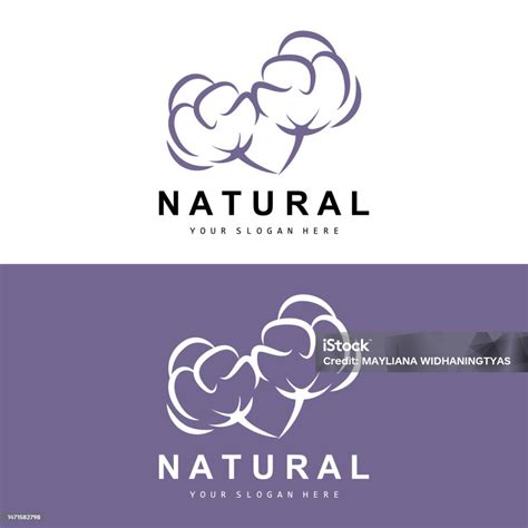 코튼 로고 천연 생물학적 유기농 식물 디자인 뷰티 섬유 및 의류 벡터 부드러운 코튼 꽃 갈색에 대한 스톡 벡터 아트 및 기타 이미지 Istock