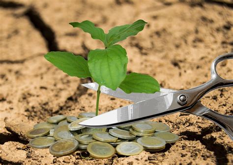 퀴즈로 배우는 상식 레스플레이션이 뭐에요 퀴즈에브리띵 상식퀴즈 사이트 넌센스퀴즈 사이트 심리테스트 사이트 추리퀴즈 사이트 두뇌발달 인지기능 향상 퀴즈