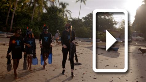 Turtle Tracking For The Future Wild Hope Turtle Tracking For The Future Wild Hope