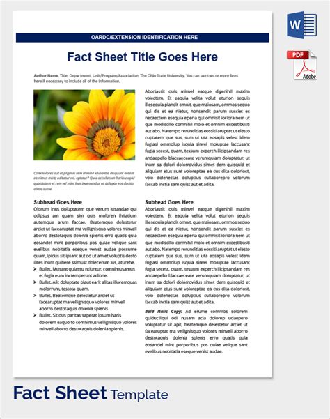 Fact Sheet Template Microsoft Word Professional Template For Business