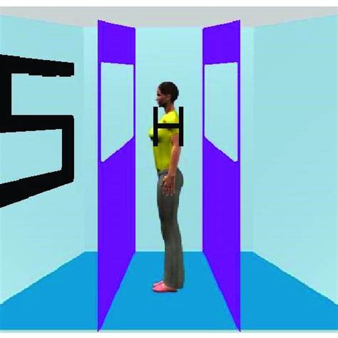 A Stimulus Used In Experiment 1 Note That In Order To Have Parity With