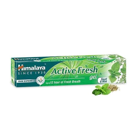 Himalaya Active Fresh Gel Toothpaste The Ayur Store