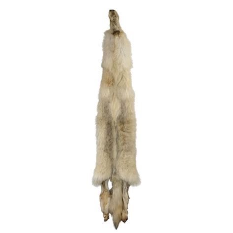 Glacier Wear Wolf Fur Pelt 34423 For Sale