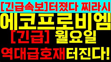 에코프로비엠 이걸 알고 모르고는 천지차이입니다 Youtube