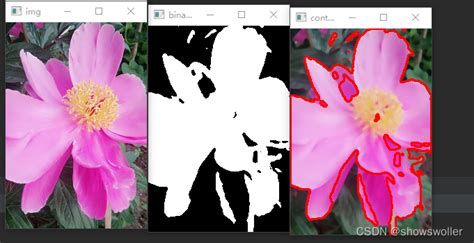 Opencv图形检测中绘制图像的轮廓讲解与实战应用（附python源码）检测所有轮廓 Csdn博客