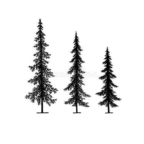 Coniferous Trees Silhouette Stock Vector Illustration Of Natural