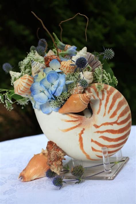 Déco avec coquillages idées DIY pour inviter la mer chez vous