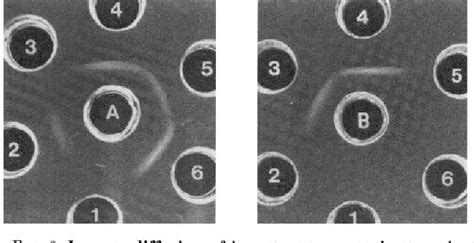Figure 1 From Carbohydrate Structure Of Yeast Invertase Demonstration