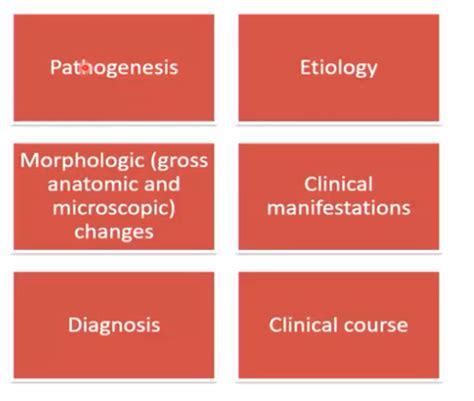 Intro To Pathophysiology Flashcards Quizlet