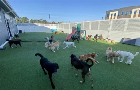 Ail Sound Walls Reduce Noise Pollution From Dog Daycare Facility