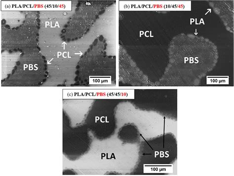 Morphology Of The Ternary Blends Pla Pbs E Pcl With Variable Download Scientific Diagram
