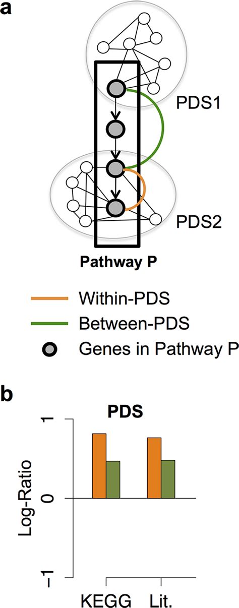 Pds And Pathways Are Different Functional Modules A Schematic Download Scientific Diagram