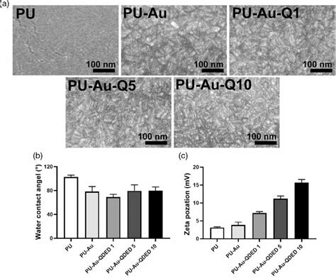 A Sem Images Of The Samples Of Pu Pu Au Pu Au Q Pu Au Q And Download Scientific Diagram